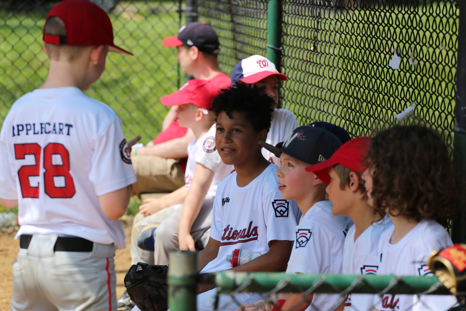 Baseball Divisions – Capitol City Little League